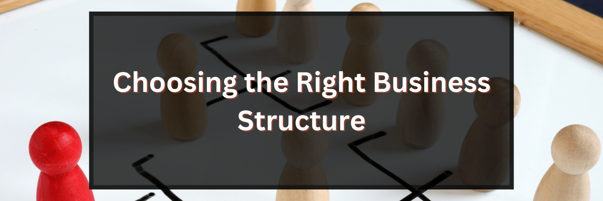 Choosing the Right Business Structure - Carbon Law Group
